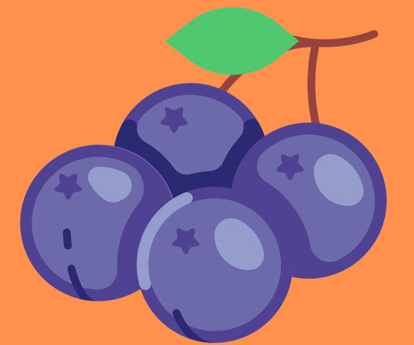 Blueberry Flavor Bulk Candy | Royal Wholesale Candy